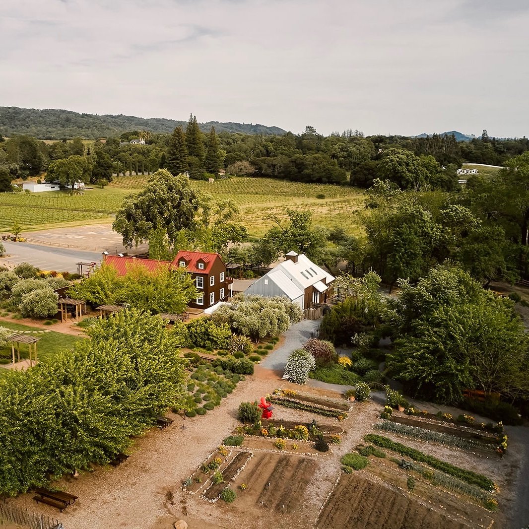 Visit Us – aesthete wines