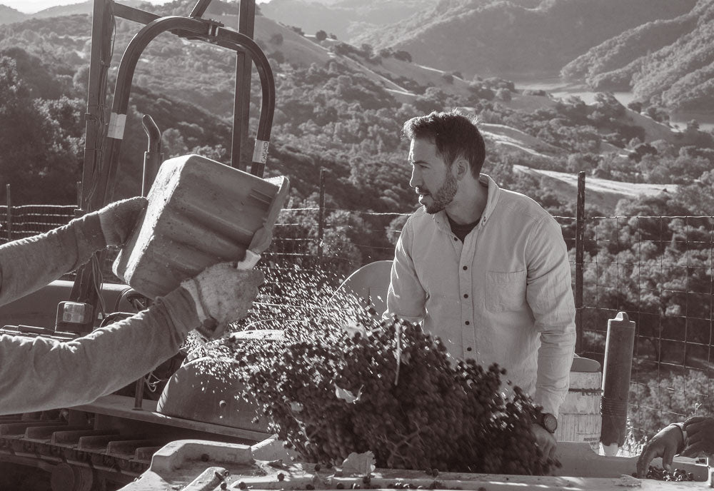 Meet The Winemaker – aesthete wines